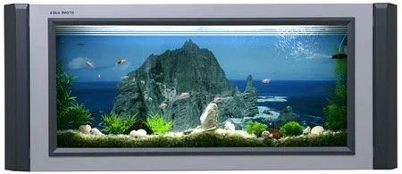 Aqua Photo Wall Mounted Aquarium | Gear Patrol