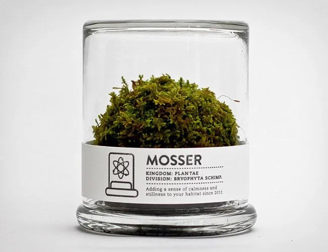 Mosser | Gear Patrol