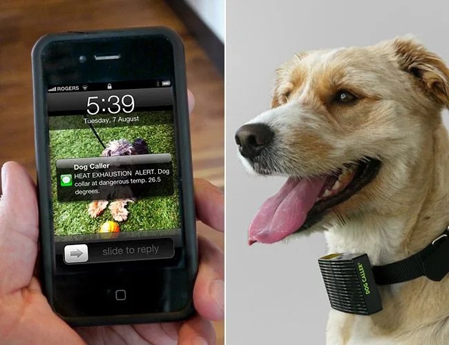 The Dog Caller | Gear Patrol