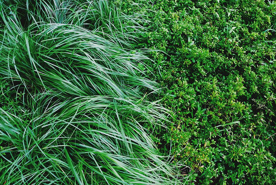 Photo Essay: Hiking Seoul’s Woo-Myun Mountain | Gear Patrol