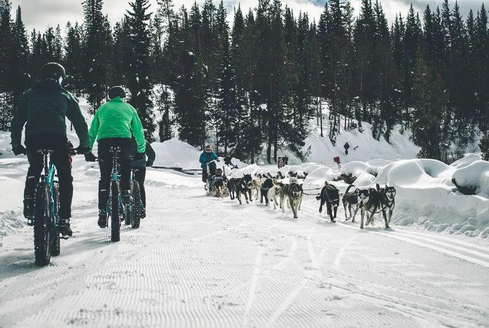 Fat Biking in the Wyoming Wilderness | Gear Patrol