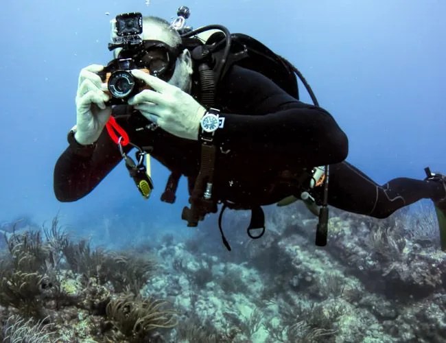 Cameras & Photography