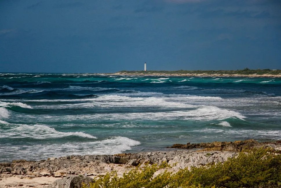 Diving with Omega’s Alpha, the Seamaster Ploprof 1200M | Gear Patrol