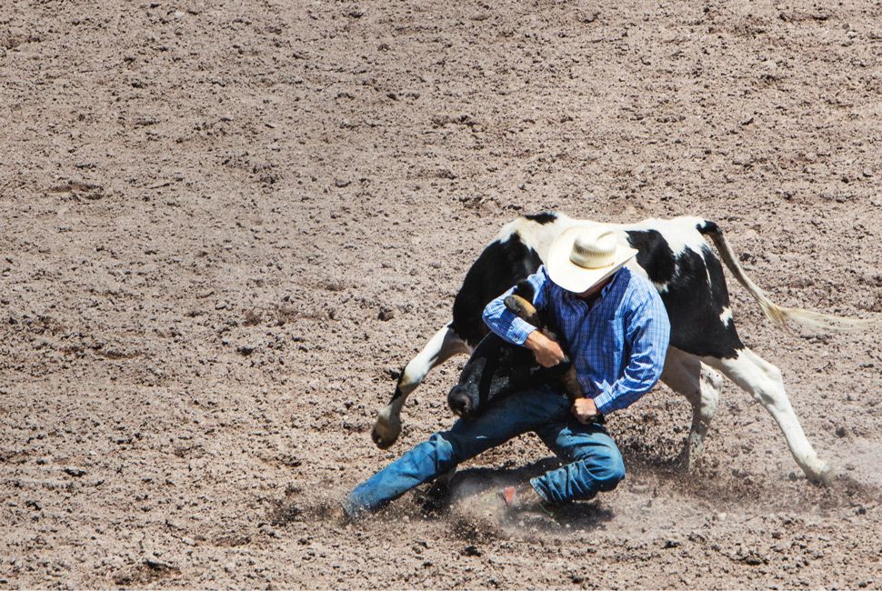 How to Wrestle a Steer Like a Pro | Gear Patrol