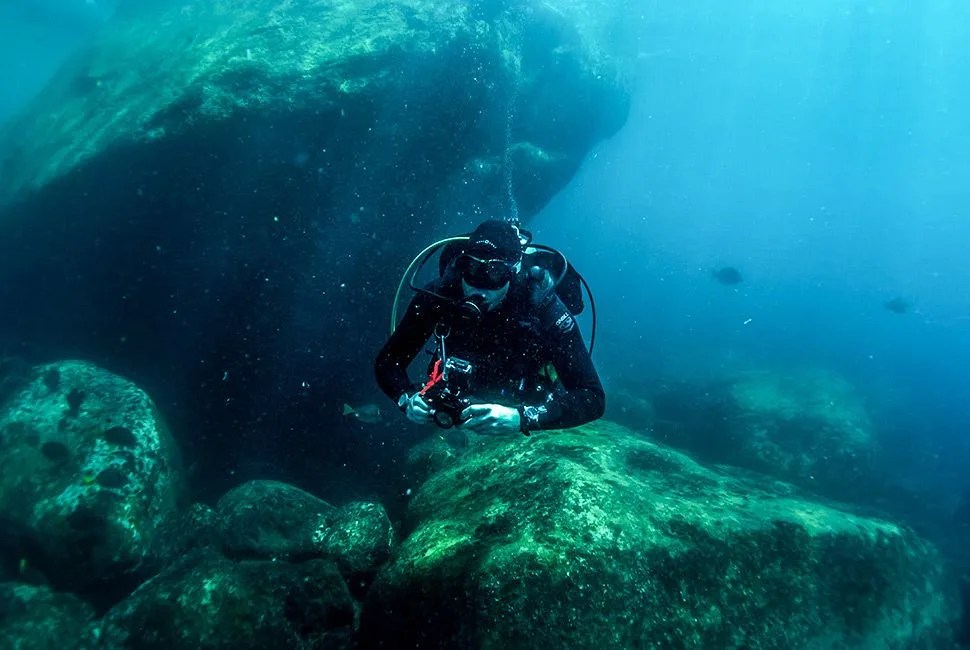 These Dirt-Cheap Dive Watches Are Perfect for Summer | Gear Patrol