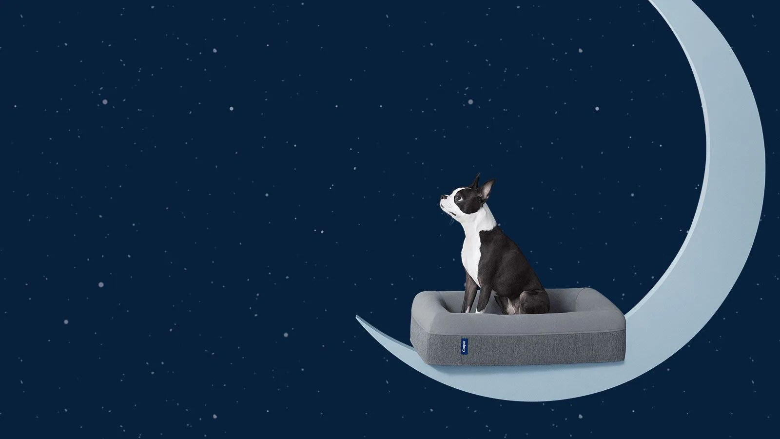 Casper Sleep Dog Mattress | Gear Patrol