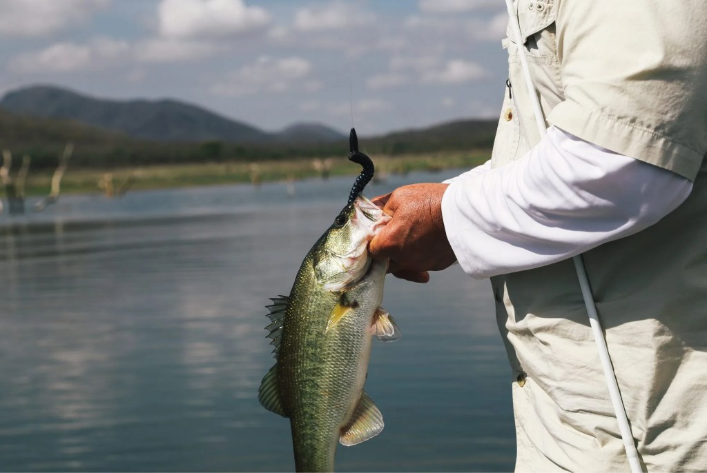 How-To's & Explainers