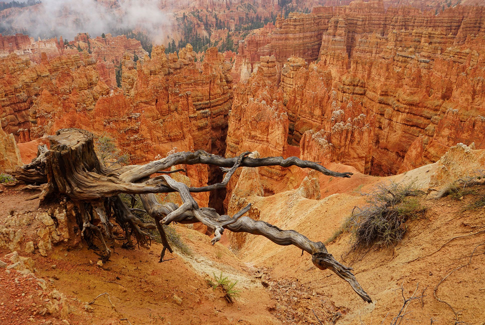 What to Do When Weather Ruins Your Photographs | Gear Patrol