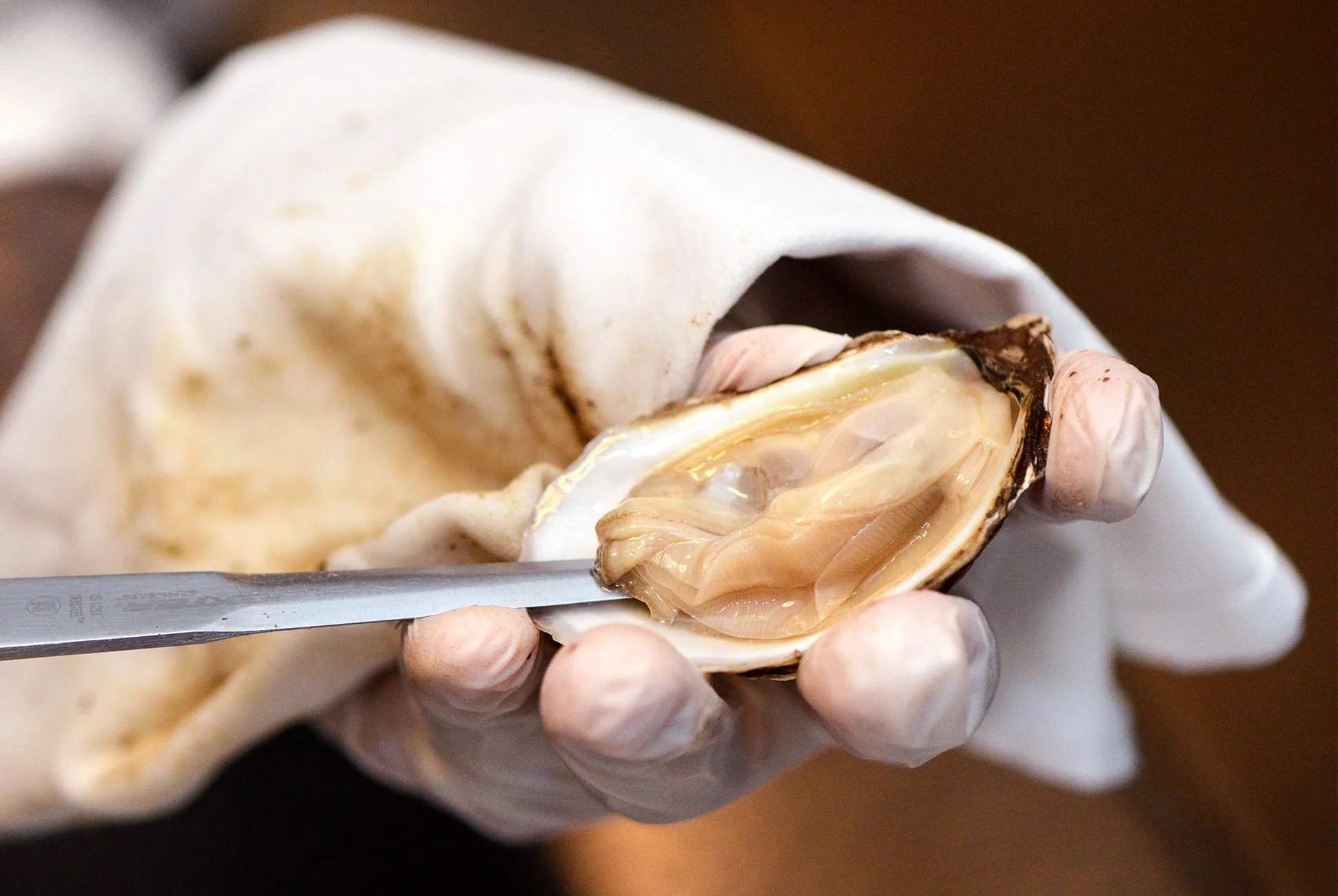 How to Shuck an Oyster like a Pro | Gear Patrol