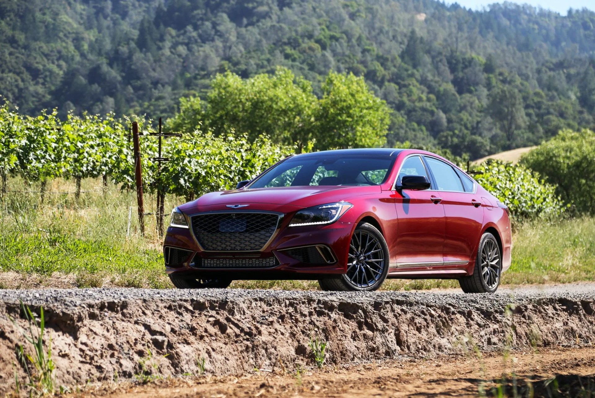 My Dad Would Love the Genesis G80 Sport | Gear Patrol