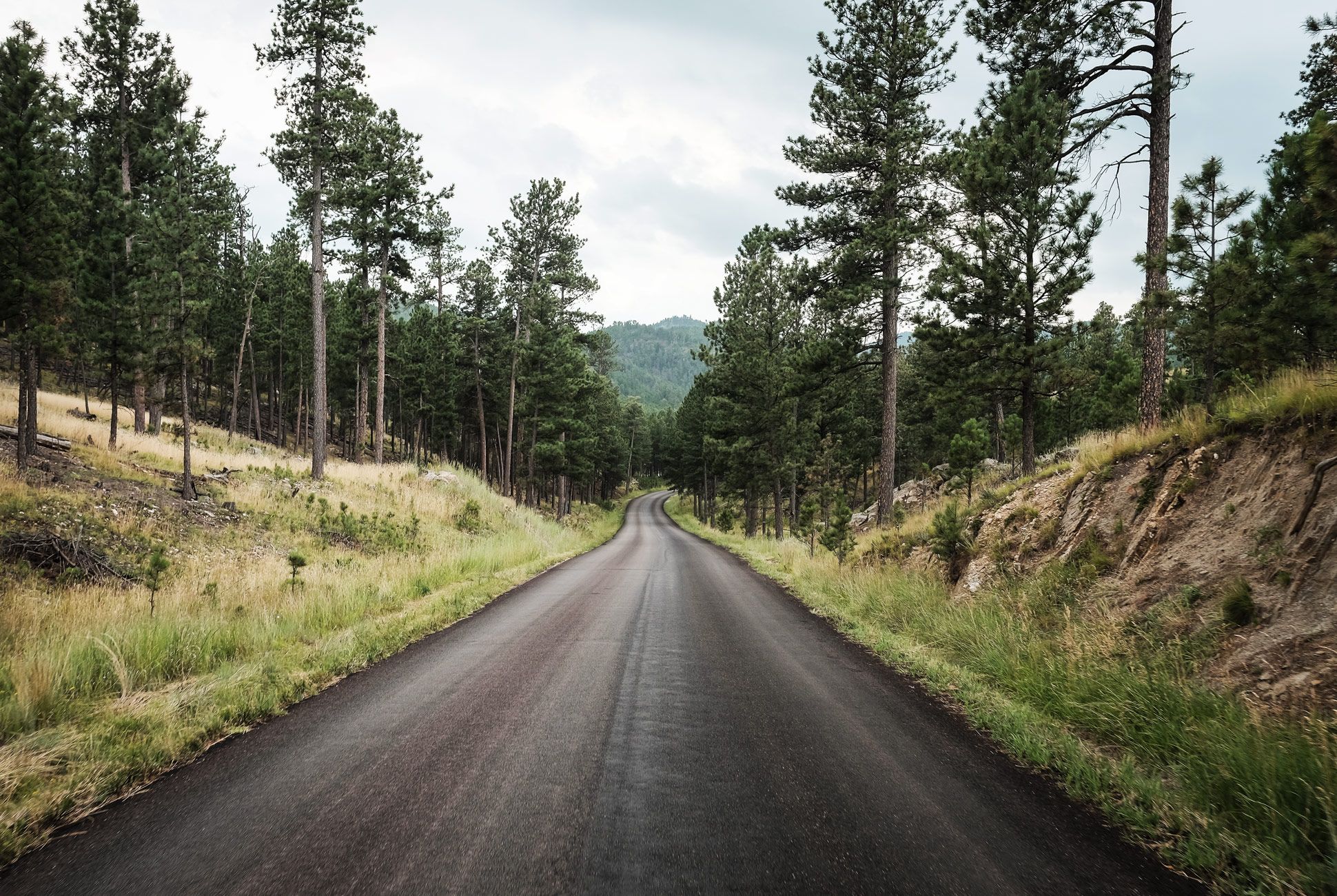 8 of the Country’s Best Riding Roads Are All Hiding in One Place | Gear ...