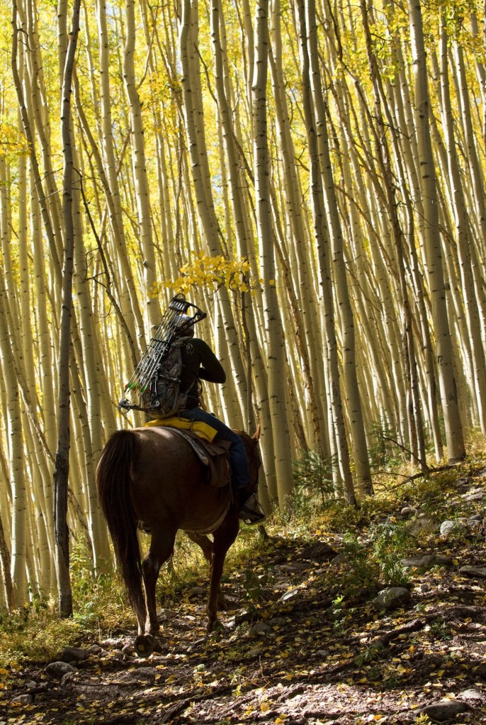 Needle in a Haystack | Gear Patrol