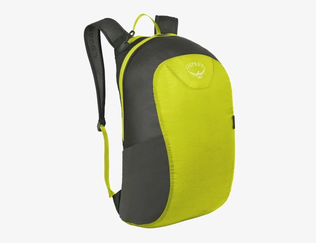 The 8 Best Packable Backpacks to Carry When Traveling | Gear Patrol