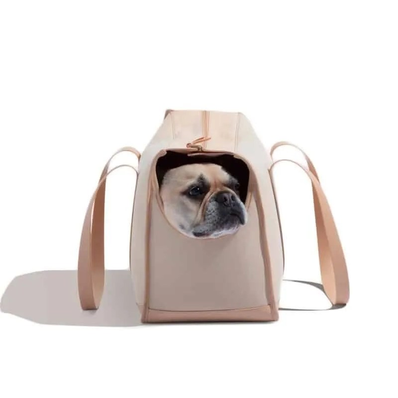 New Brand Wild One Has Everything Your Dog Deserves | Gear Patrol