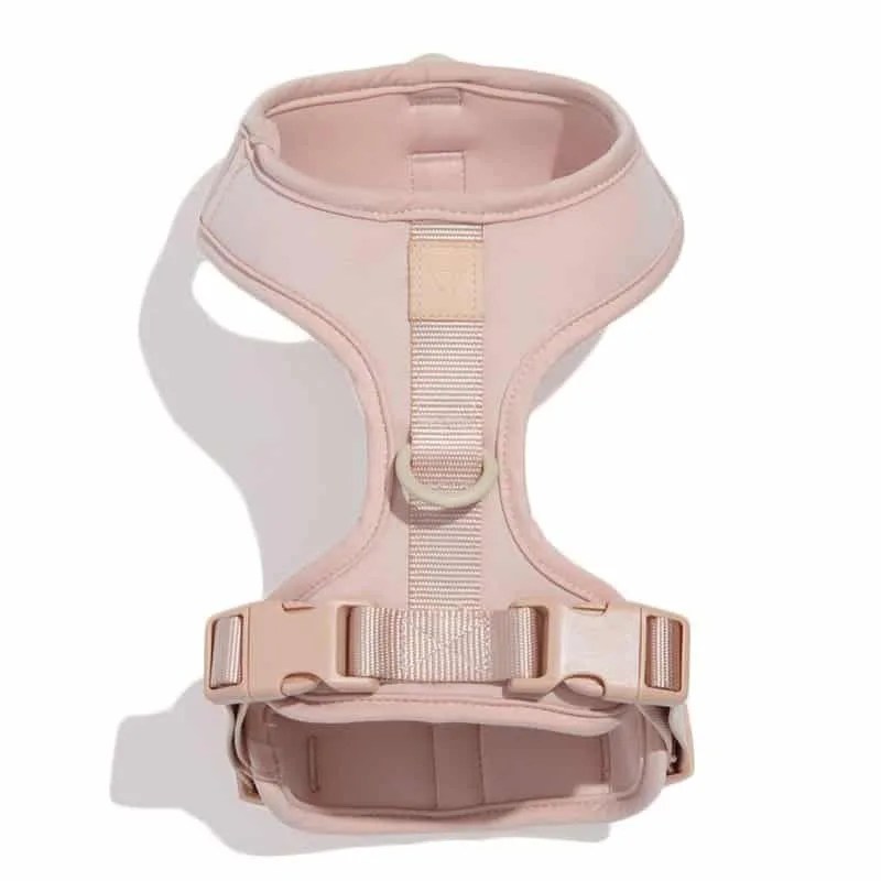 New Brand Wild One Has Everything Your Dog Deserves | Gear Patrol