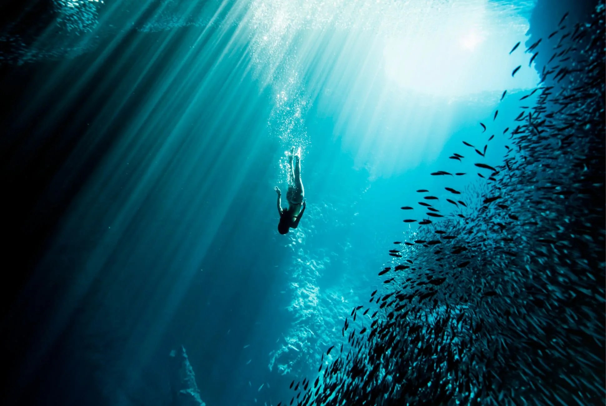 Everything You Need to Start Free Diving | Gear Patrol
