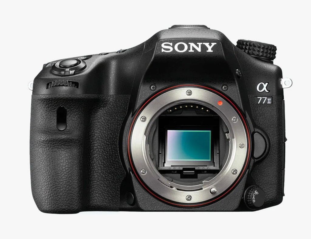 Everything You Need to Know About Sony Cameras | Gear Patrol