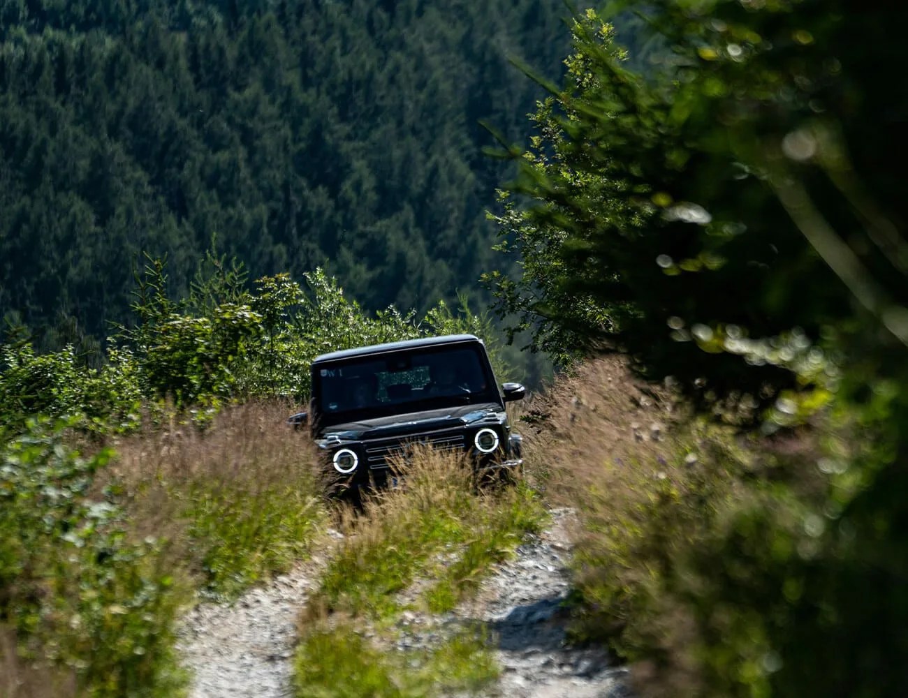 Testing Mercedes-Benz’s Toughest Off-Roaders in Their Natural Habitat ...