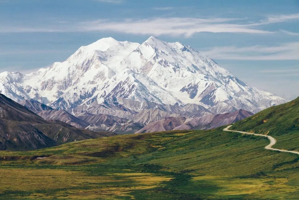 Cars • Gear Patrol