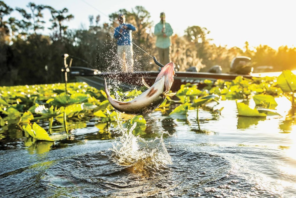 Deals • Gear Patrol