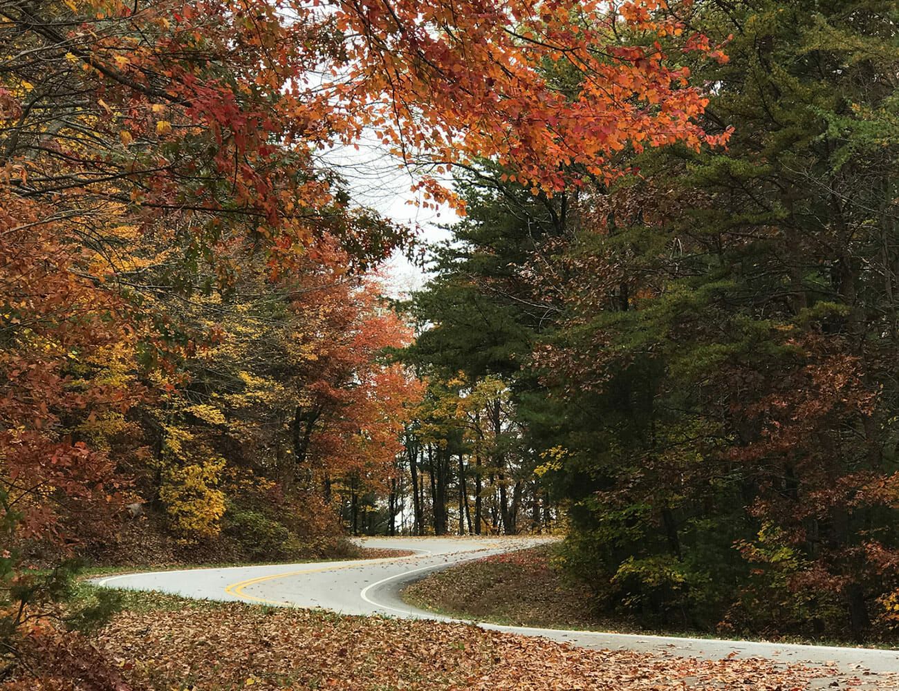 14 Great Driving Roads Just Outside America’s Biggest Cities | Gear Patrol