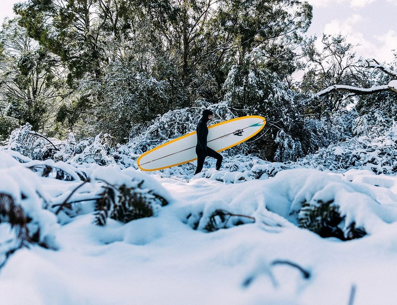 9 Female Surfers Who Will Make You Want to Chase Waves Around the World ...