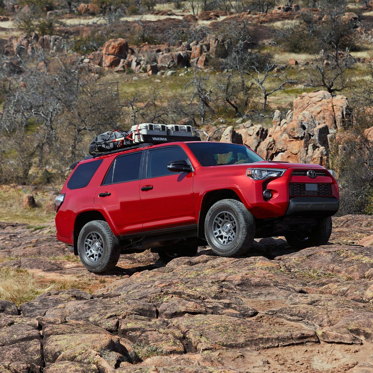 Today in Gear: Burial Beer, Kitchen Unitaskers, 10 Cars Worth More Used ...