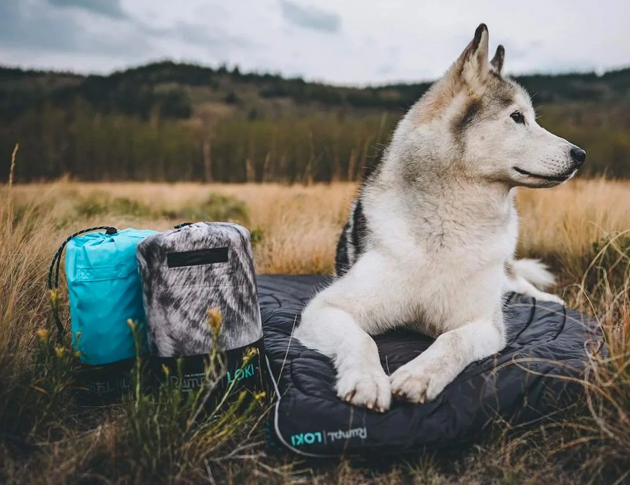 The 10 Best New Outdoor Products of October 2020 | Gear Patrol