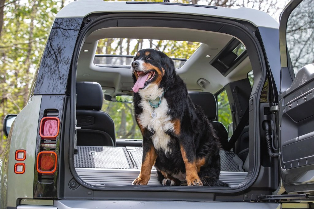 The Land Rover Defender 90 Is Ready for Everything, Except Big Families ...