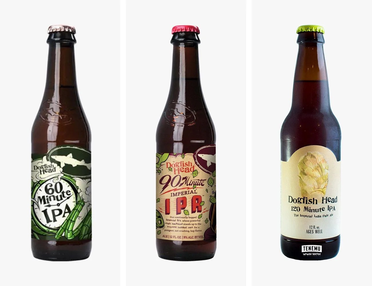 Dogfish Head 60 Minute IPA: What It Is, and Why It's So Popular | Gear ...