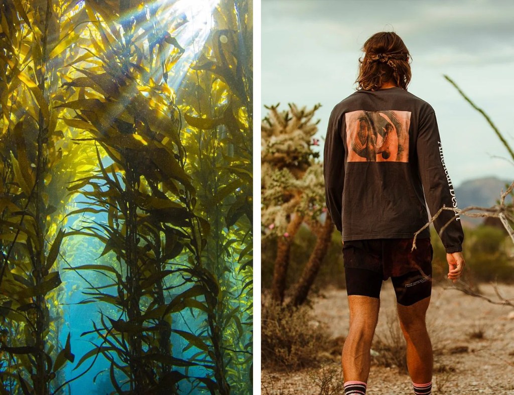 Is Seaweed the Sustainable Performance Fabric of the Future? | Gear Patrol