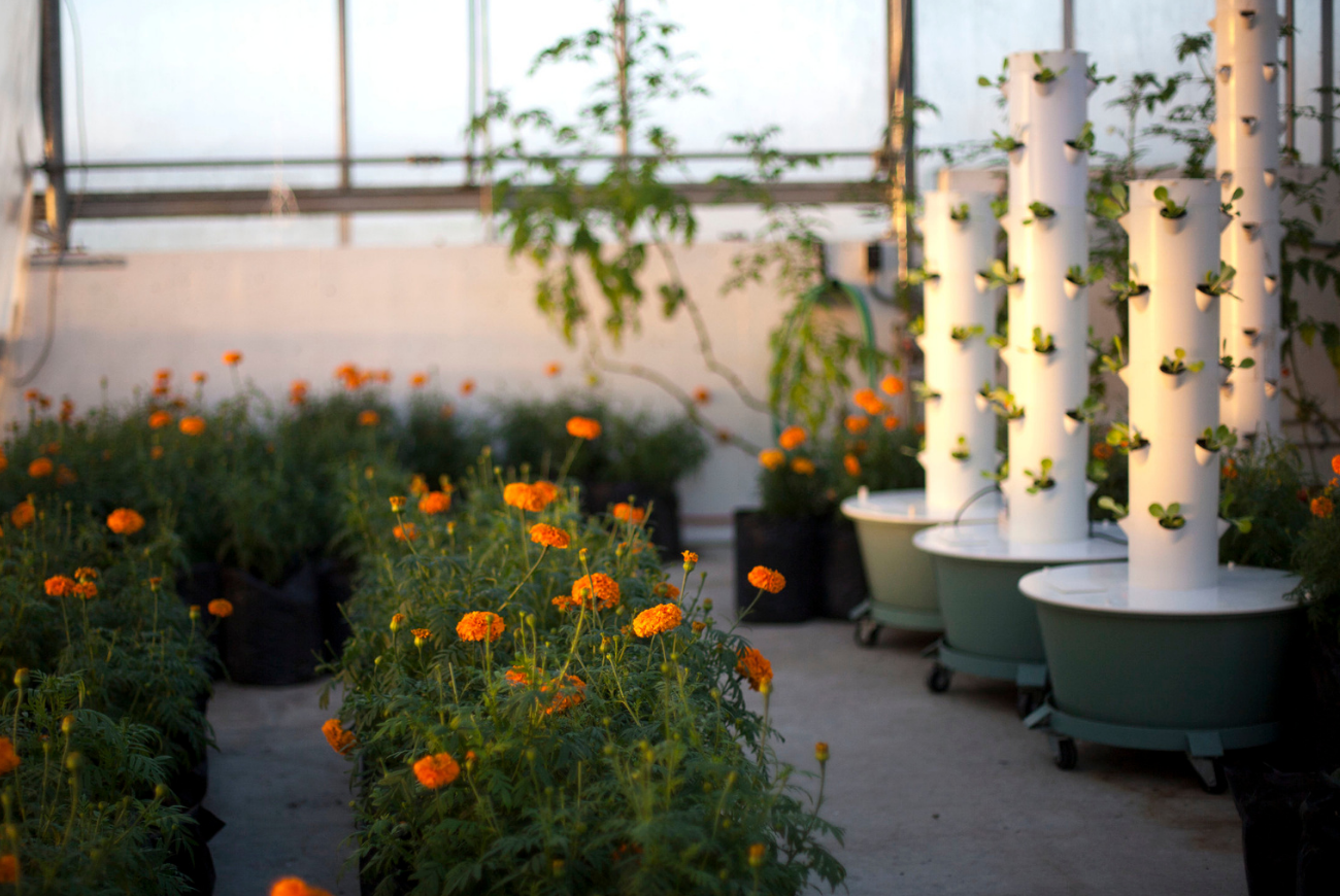 This Company Makes Sustainability Colorful | Gear Patrol