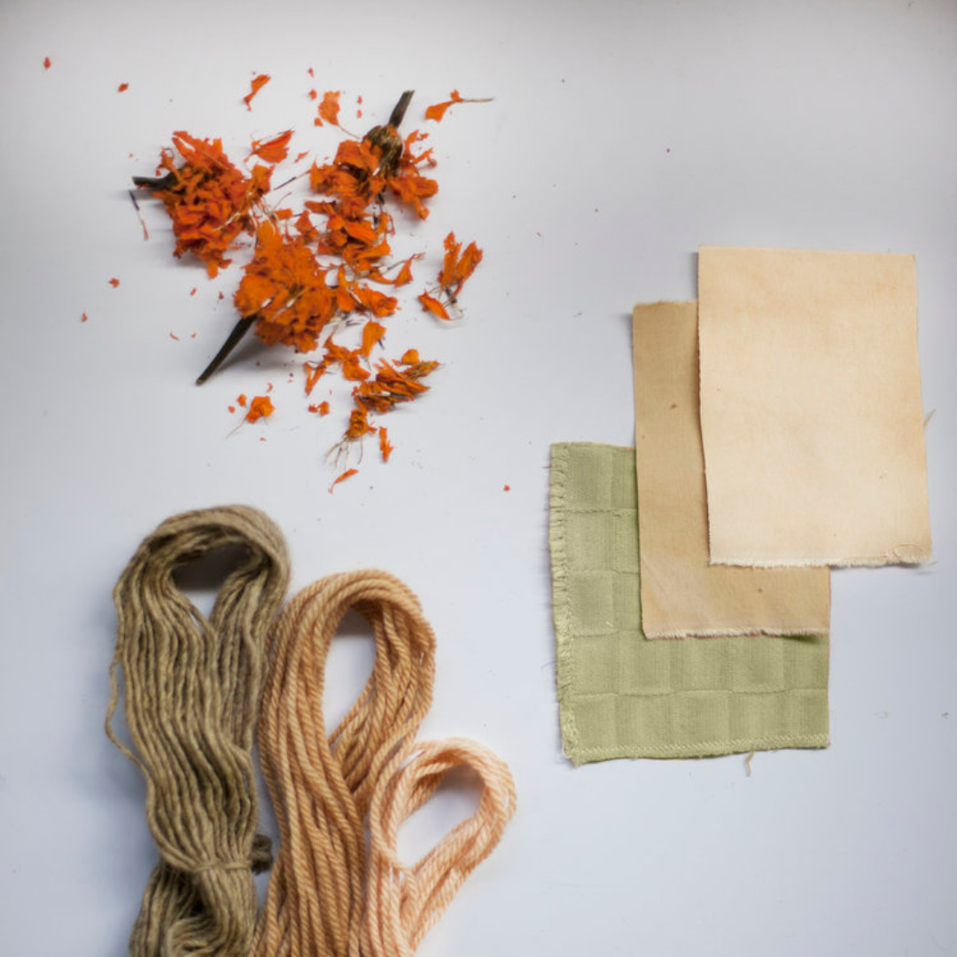 This Company Makes Sustainability Colorful | Gear Patrol