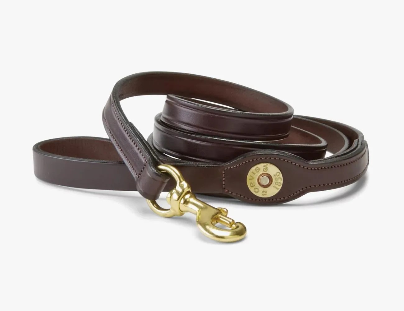 The Best Dog Leashes for Every Dog | Gear Patrol
