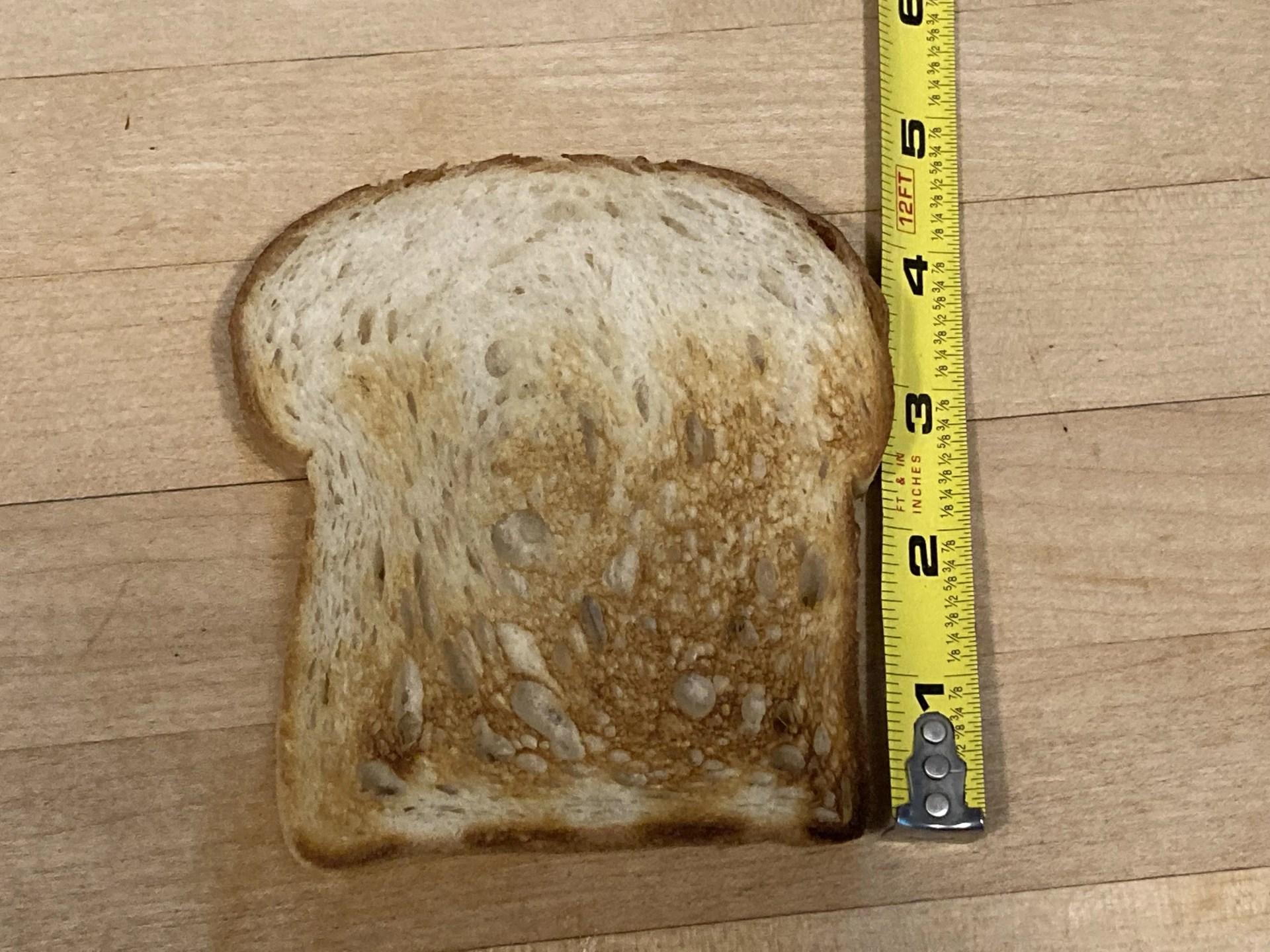 The Best Toasters for the Perfect Crispy Bite | Gear Patrol