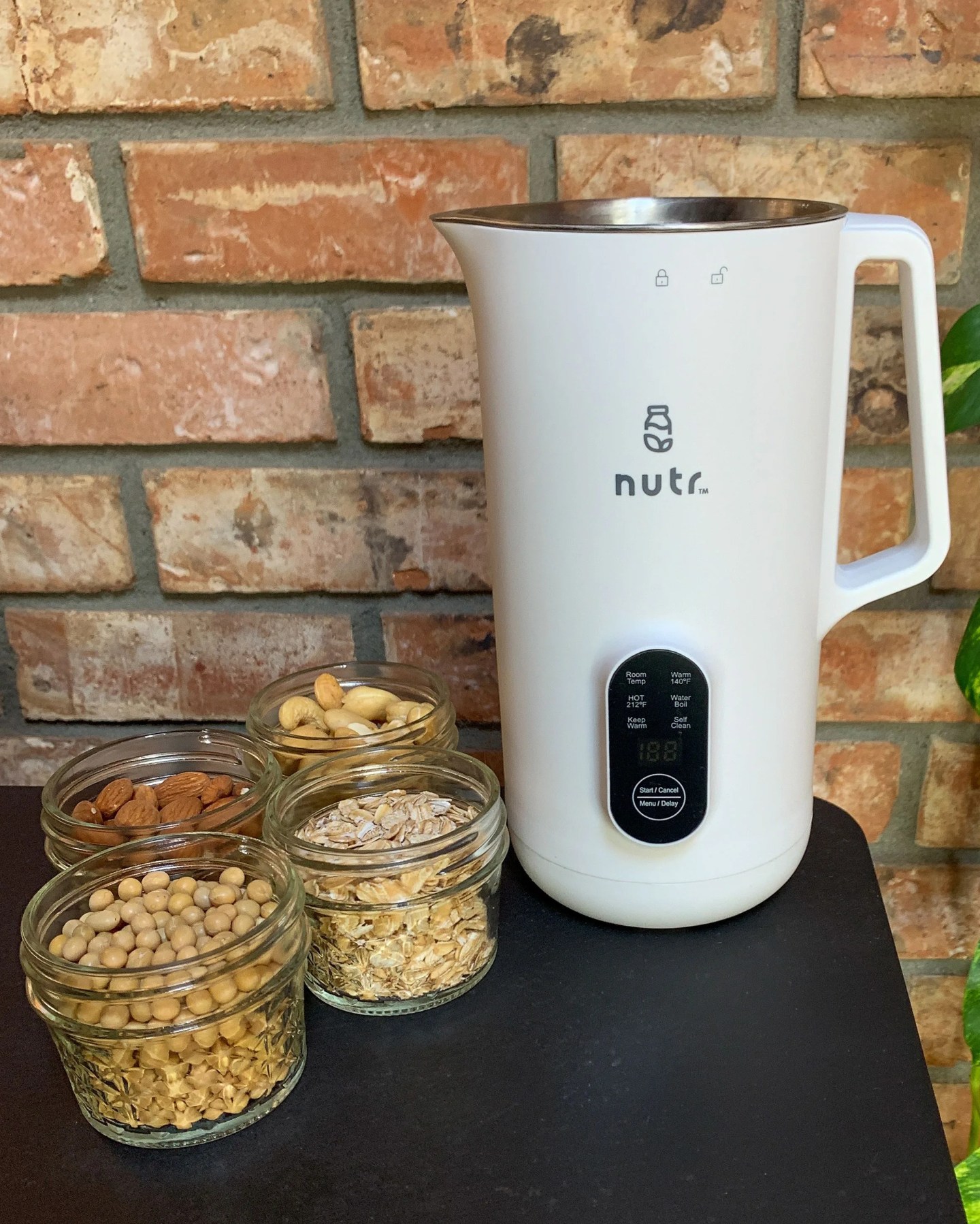 The Nutr, Tested: Is This Plant-Based Milk Maker Worth it? | Gear Patrol