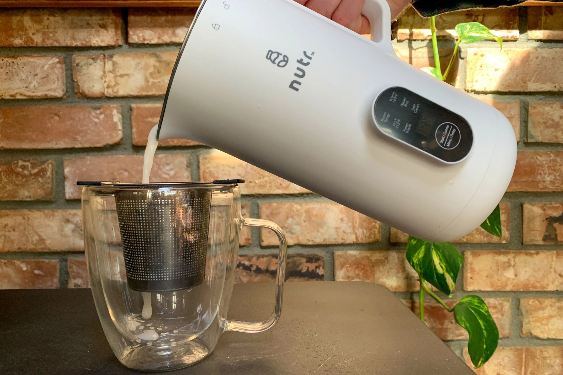 The Nutr, Tested: Is This Plant-Based Milk Maker Worth it? | Gear Patrol