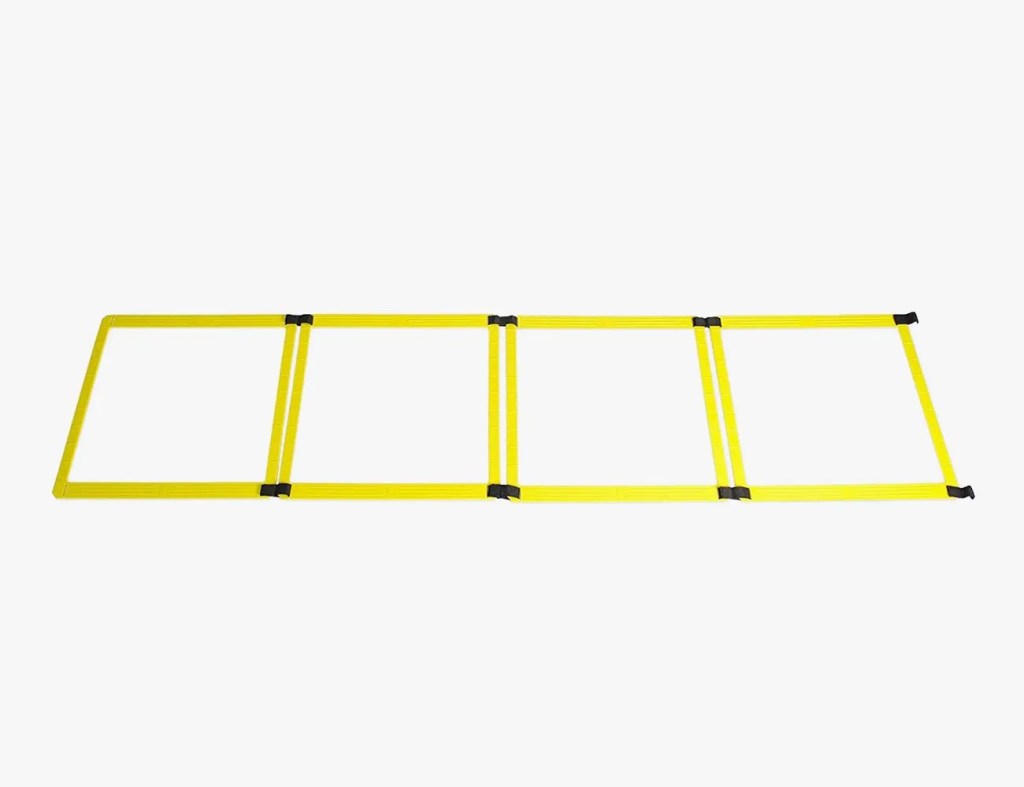 Climb the Fitness Ranks With the Best Agility Ladders | Gear Patrol