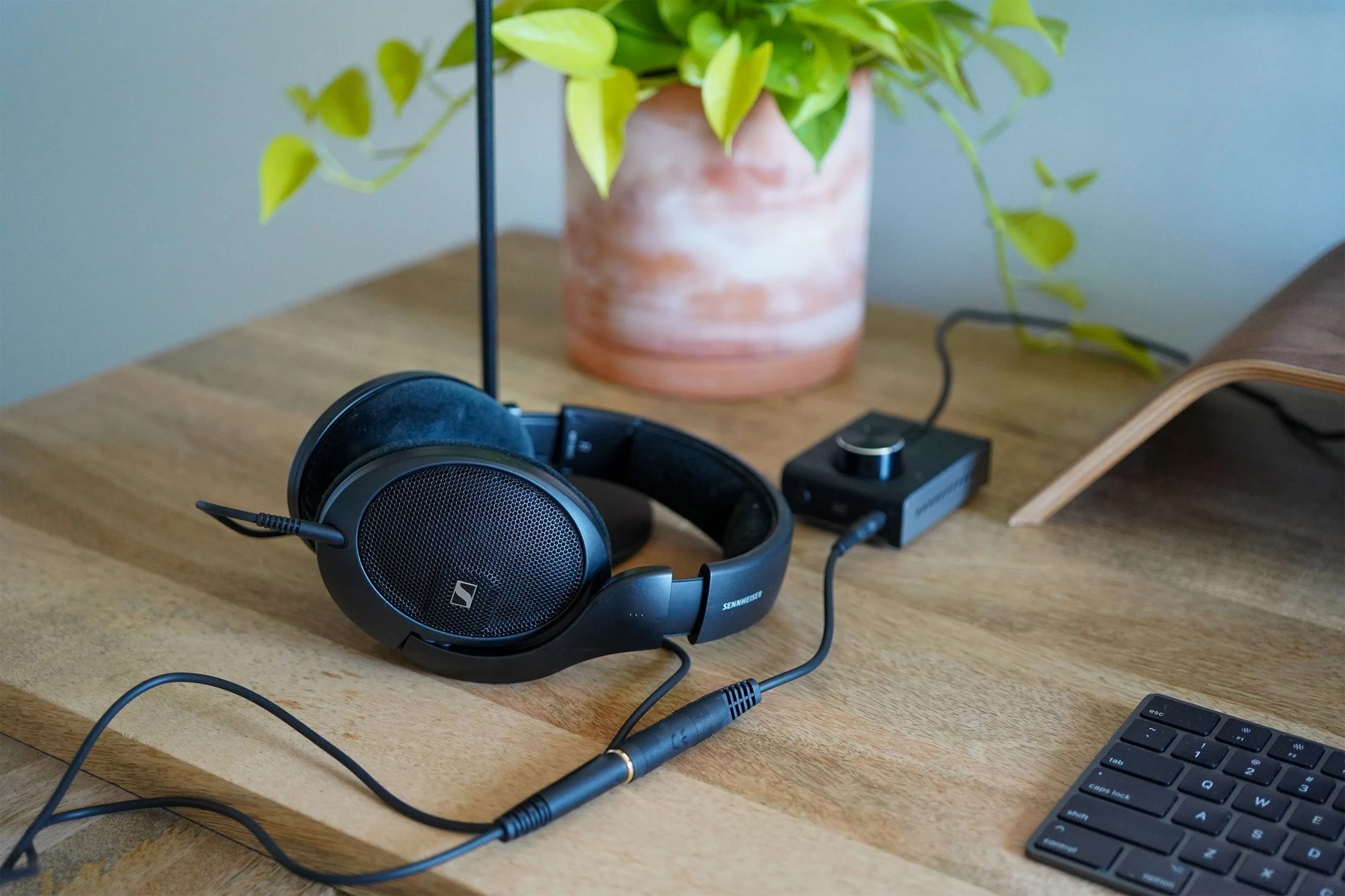 The Best Wired Headphones to Make the Jump to Hi-Fi