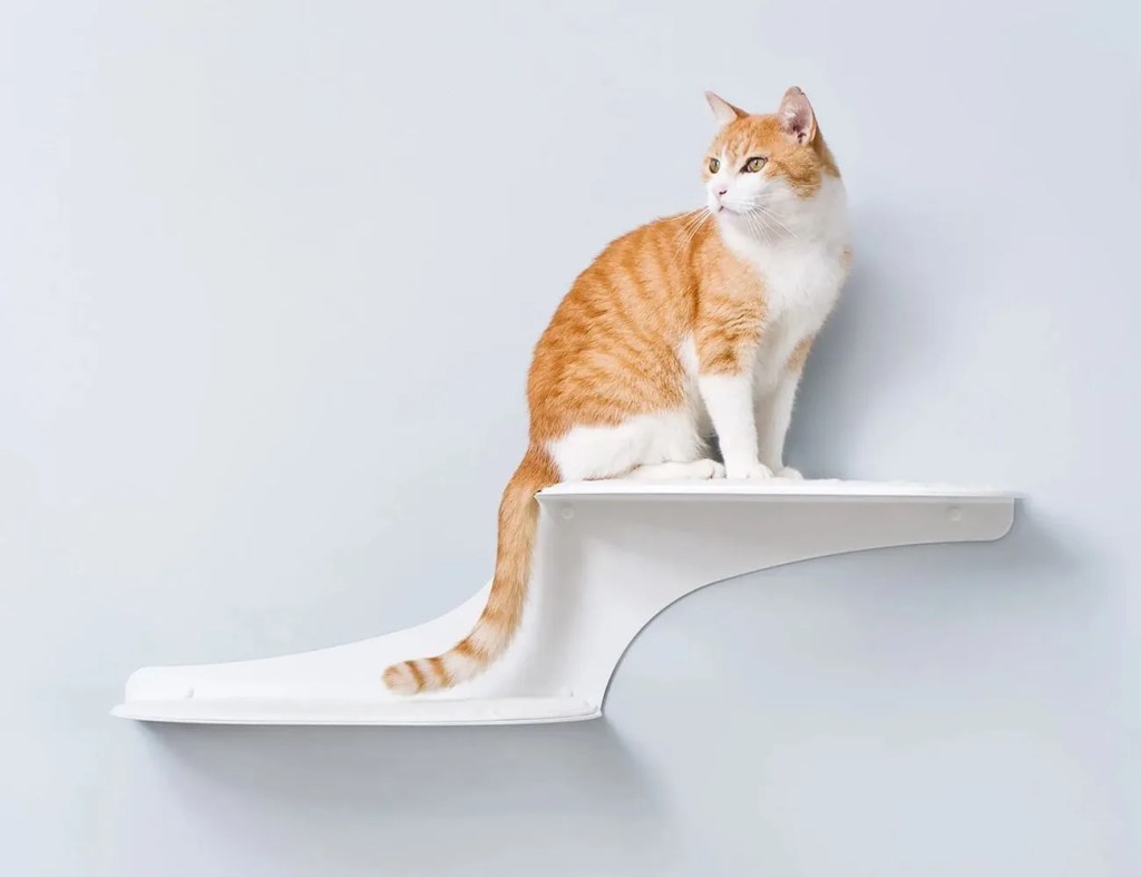 The Best Modern Cat Furniture That Actually Looks Good in Your Home ...