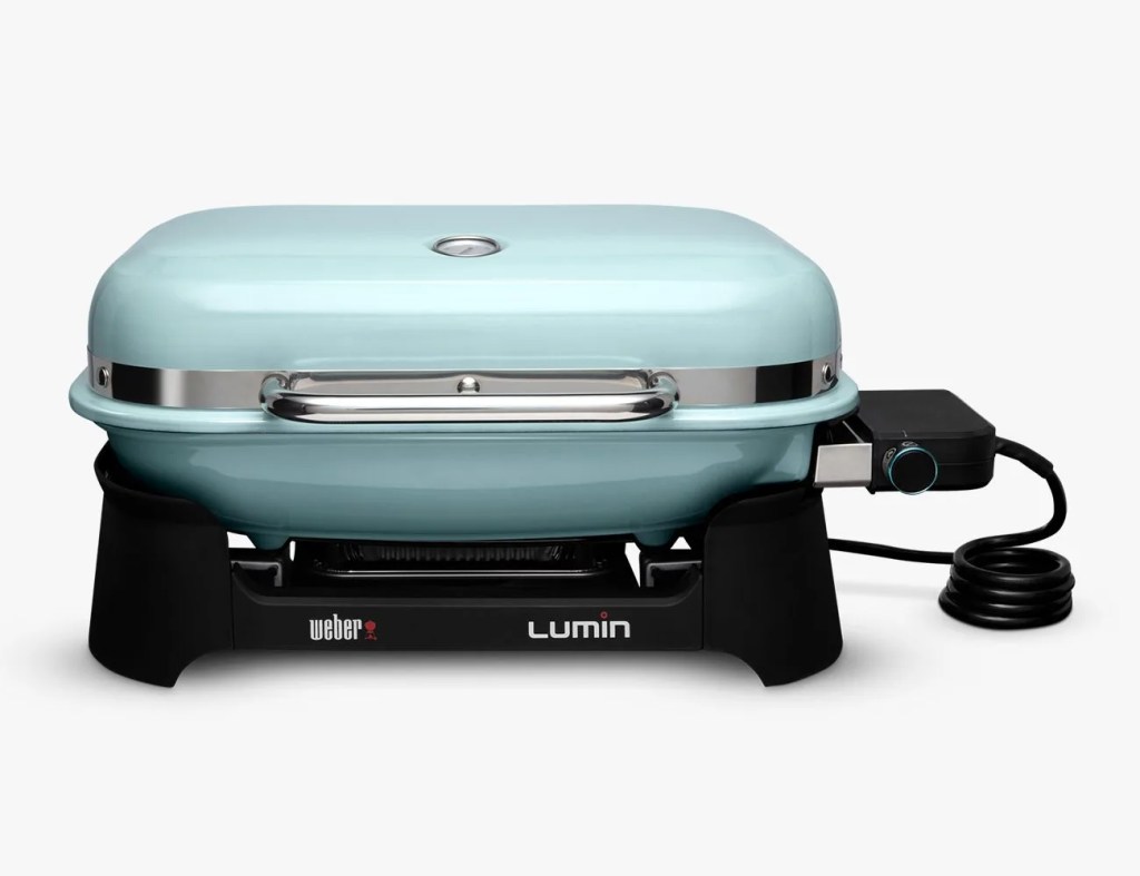 The Best Electric Grills for When Gas and Charcoal Aren't an Option ...
