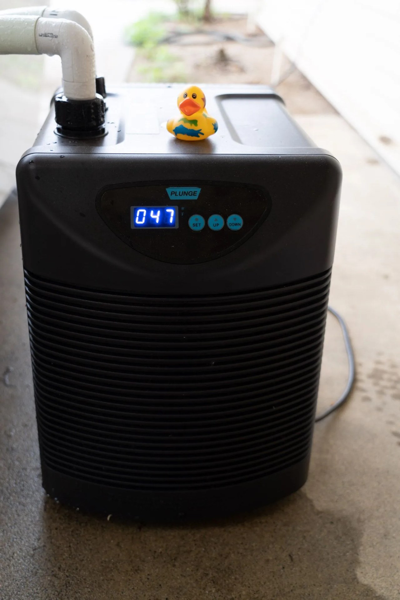 The Plunge Cold Plunge, Tested: This Tub Made Me a Cold-Water Convert ...