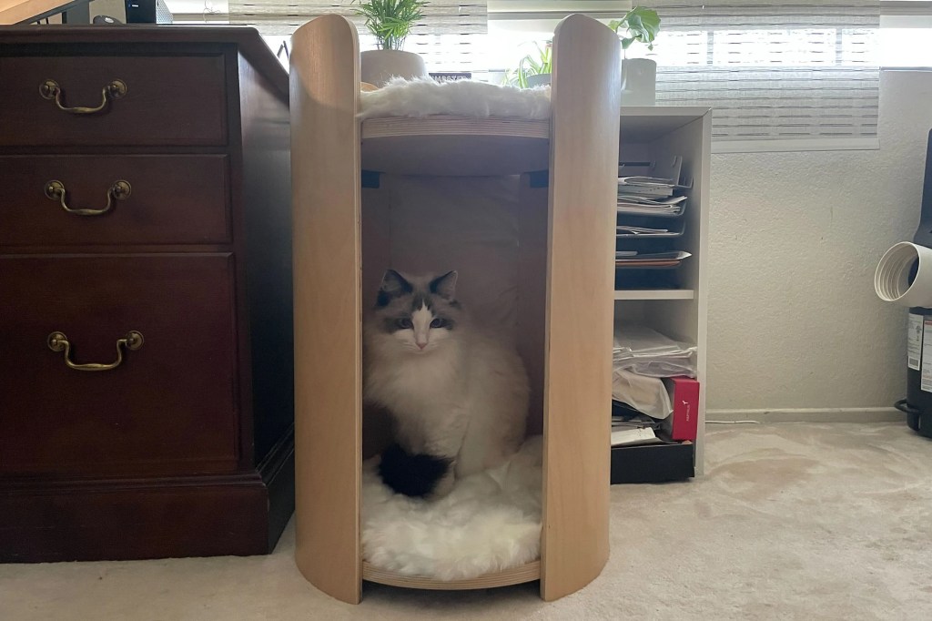 The Best Modern Cat Furniture That Actually Looks Good in Your Home ...