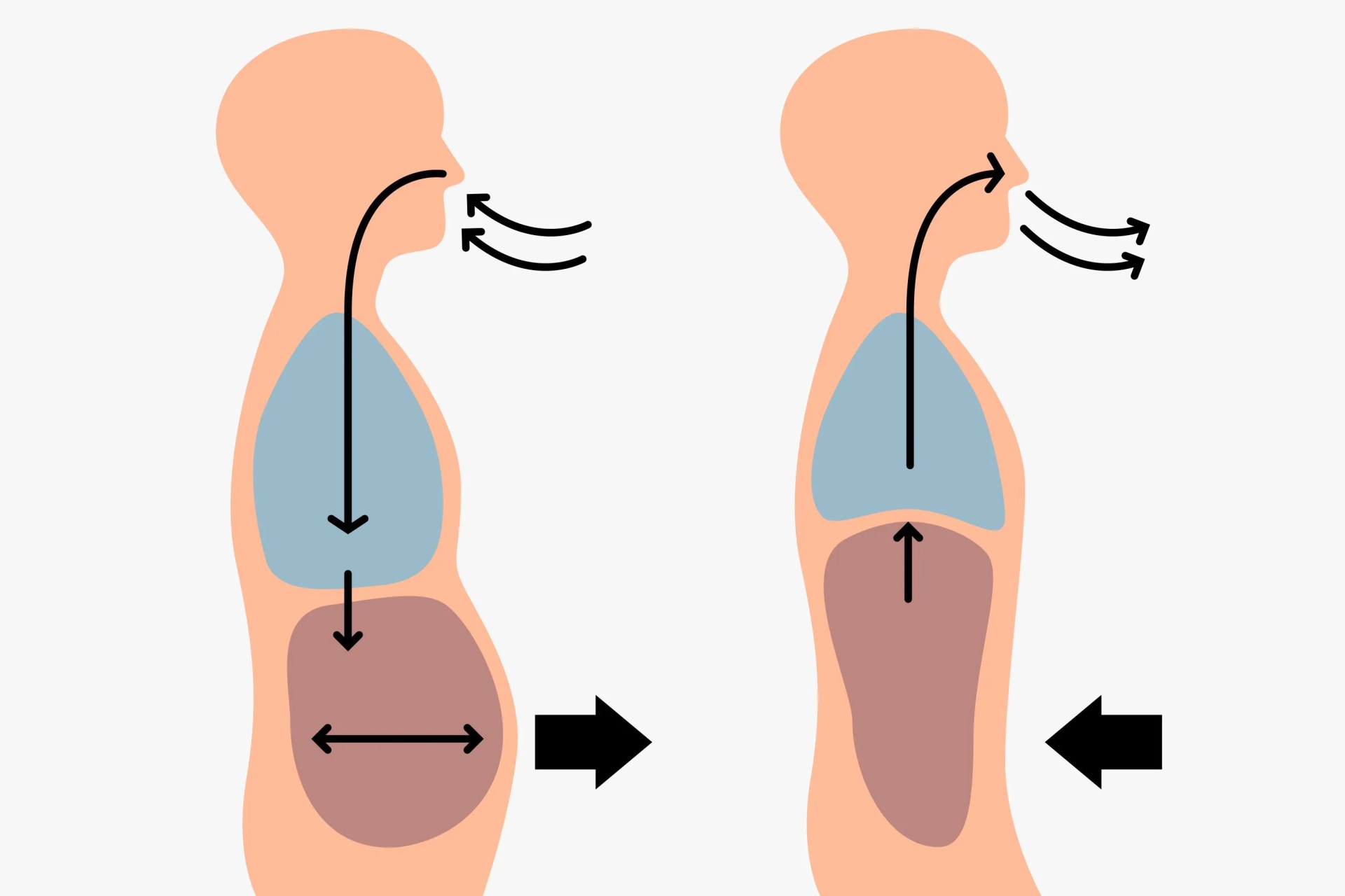 Your Breath Can Do More Than You Think ... If You Use It Correctly ...