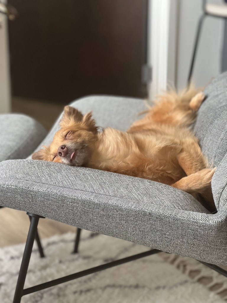 Burrow Vesper Review: A Modern Lounge Chair for This Century | Gear Patrol