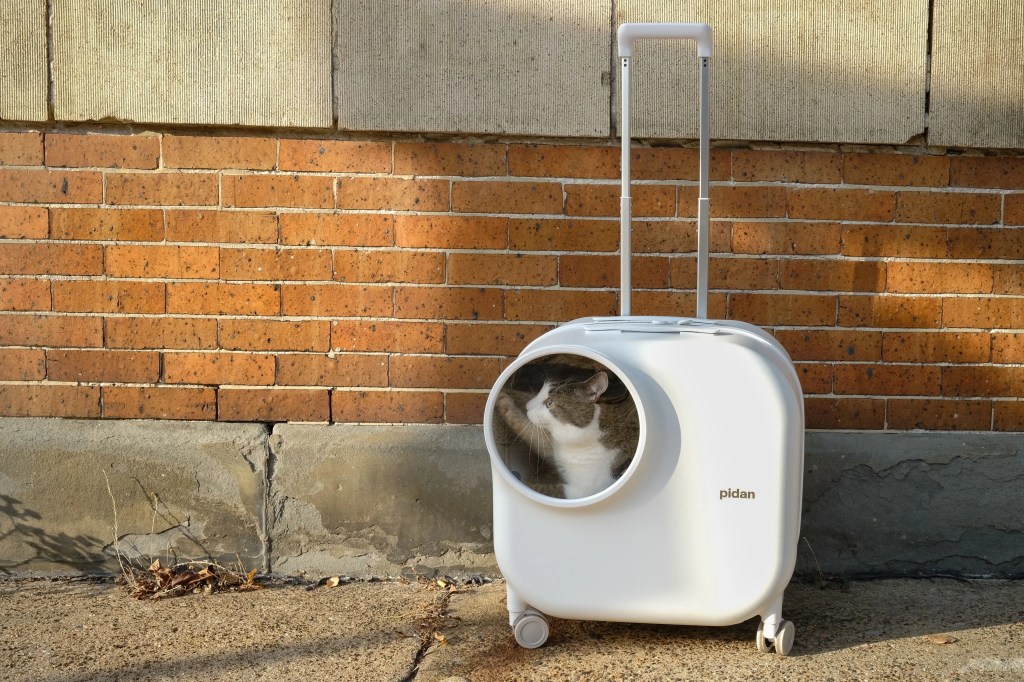 The Best Cat Carriers You Can Buy | Gear Patrol
