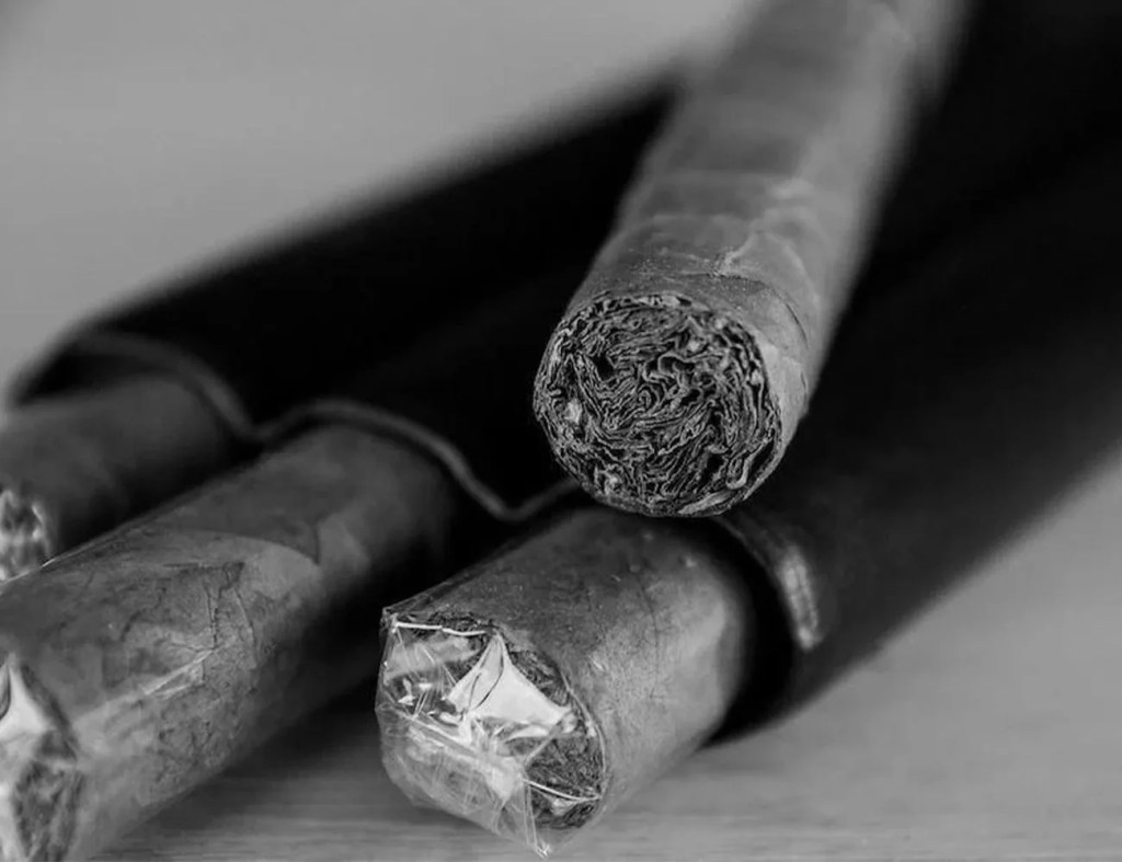 The 10 Must-Have Cigars for Any Smoker’s Palate | Gear Patrol