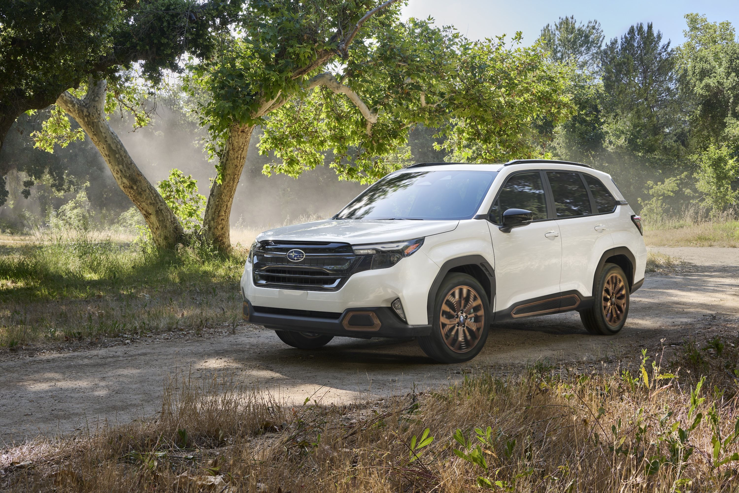The 2025 Subaru Forester: Everything You Need to Know | Gear Patrol