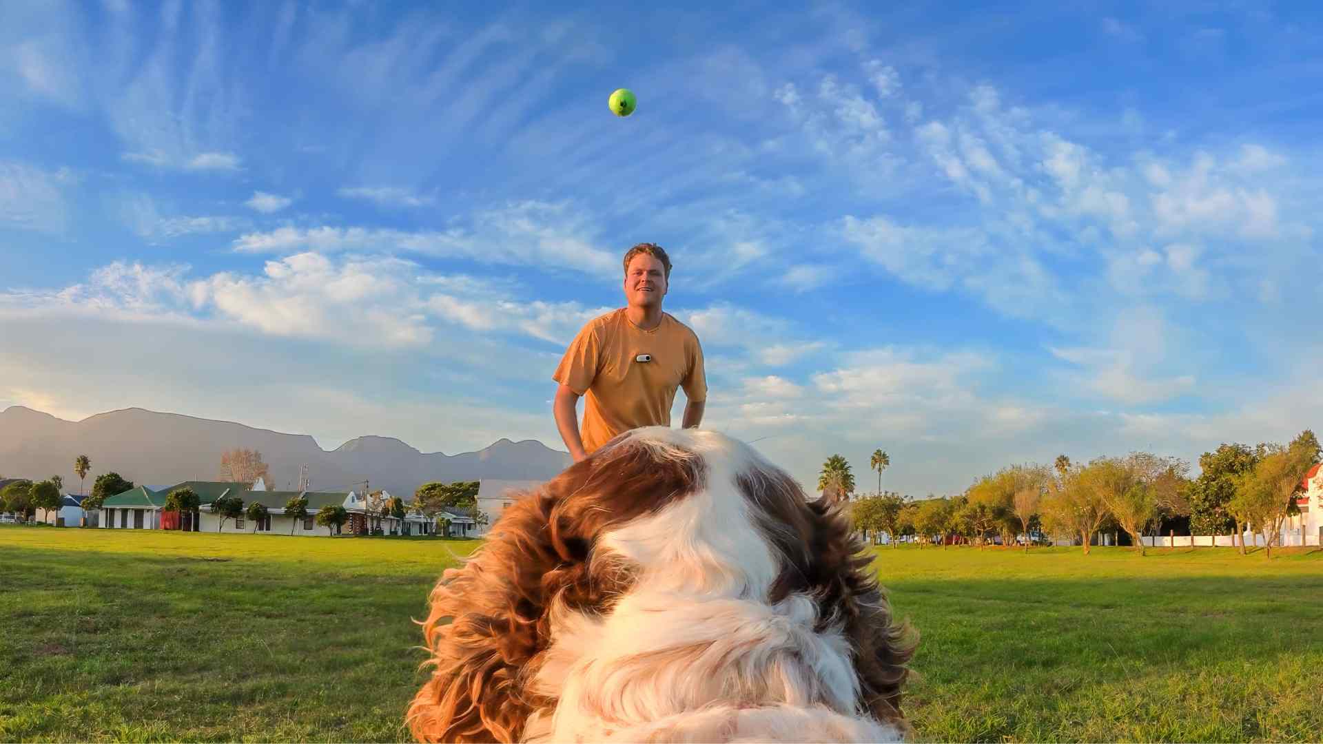 This Tiny 4K Camera Might Be the Ultimate Pet Accessory for iPhone Users