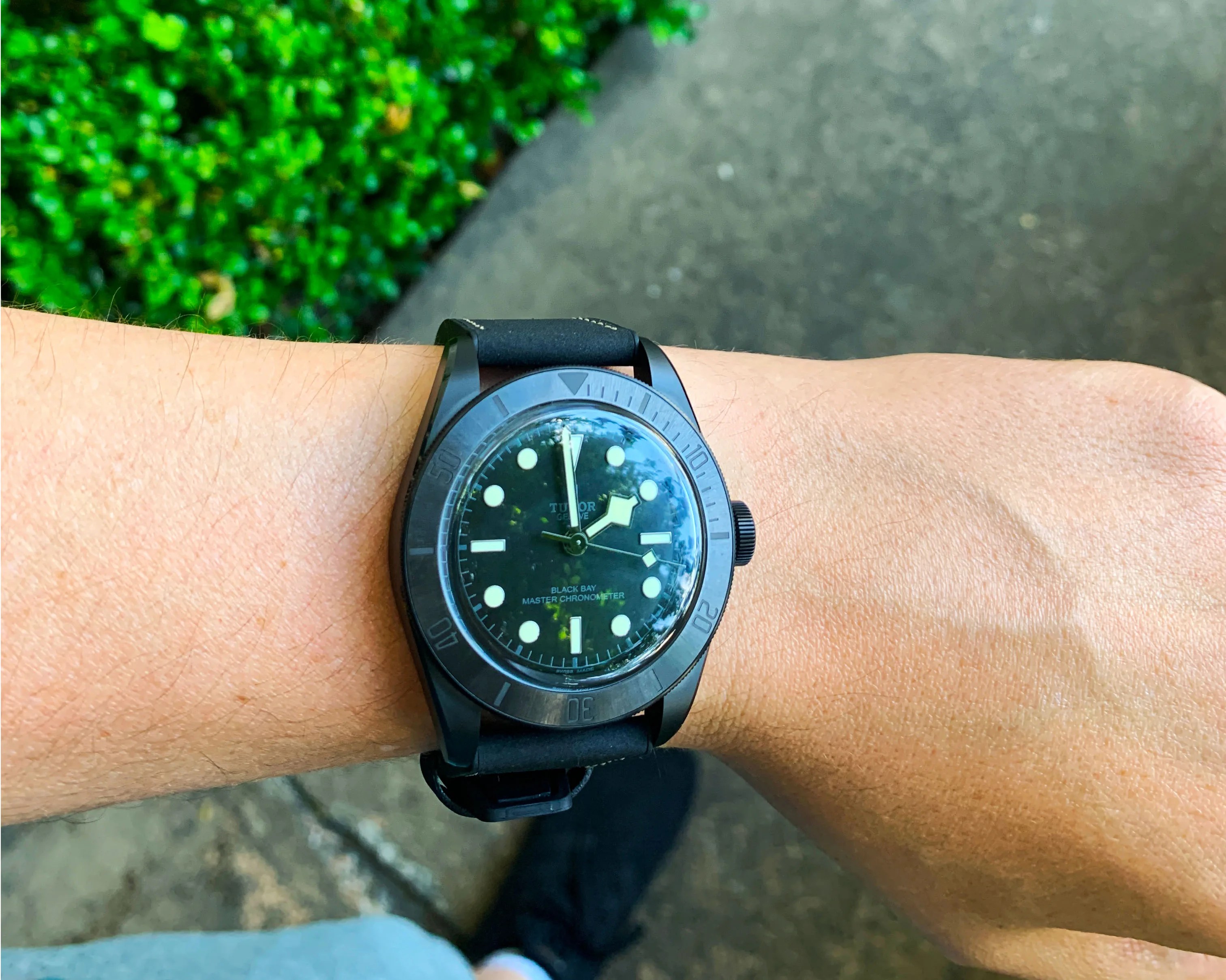 You Can Finally Buy Tudor's Hyped Formula 1 Black Bay Watch | Gear Patrol